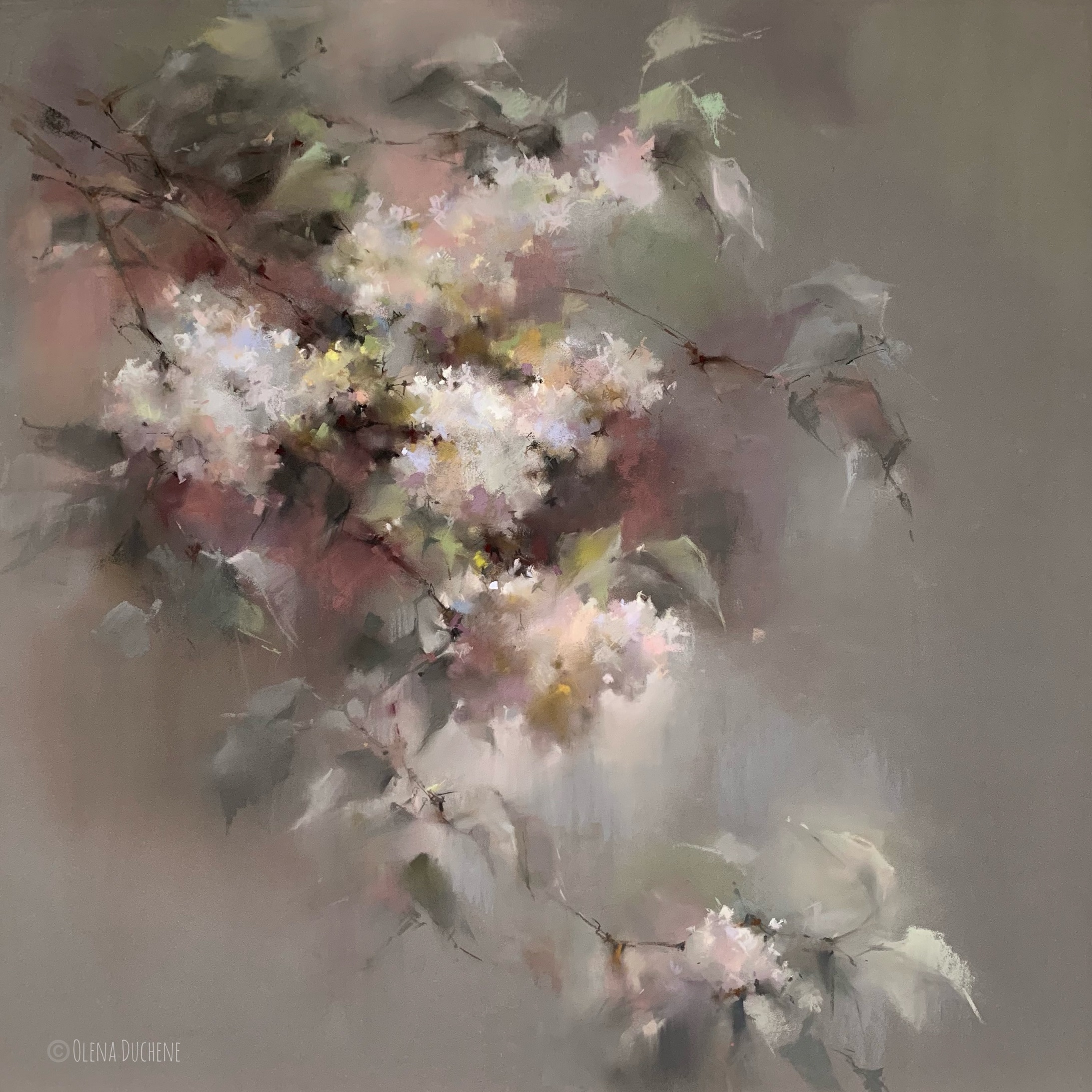 Oléna Duchêne - Artiste pastelliste | Société des Pastellistes de France