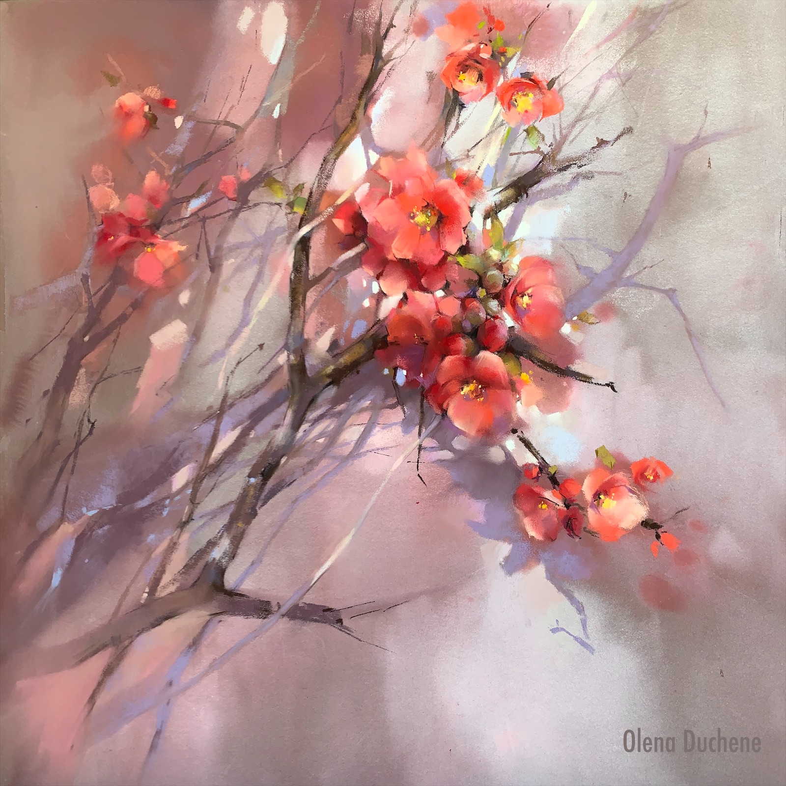 Oléna Duchêne - Artiste pastelliste | Société des Pastellistes de France