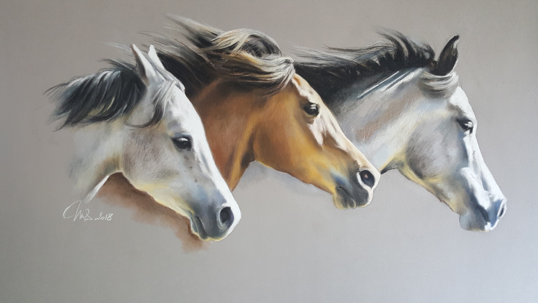 Sophie Meyer - Artiste pastelliste | Société des Pastellistes de France